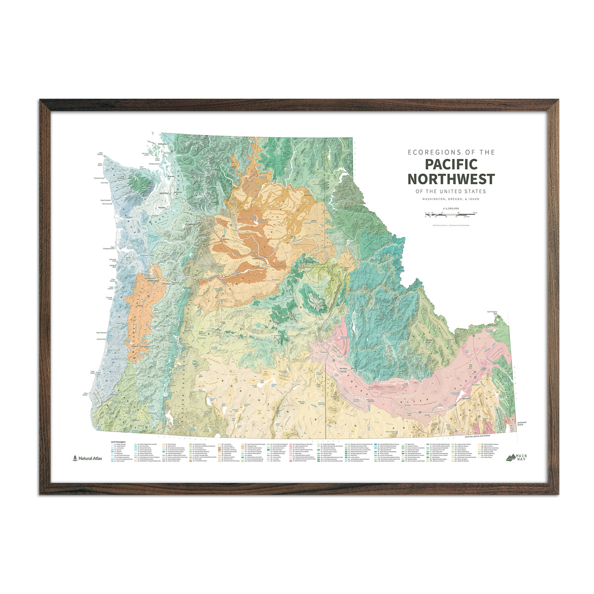Pacific Northwest relief map featuring Ecoregions | Muir Way