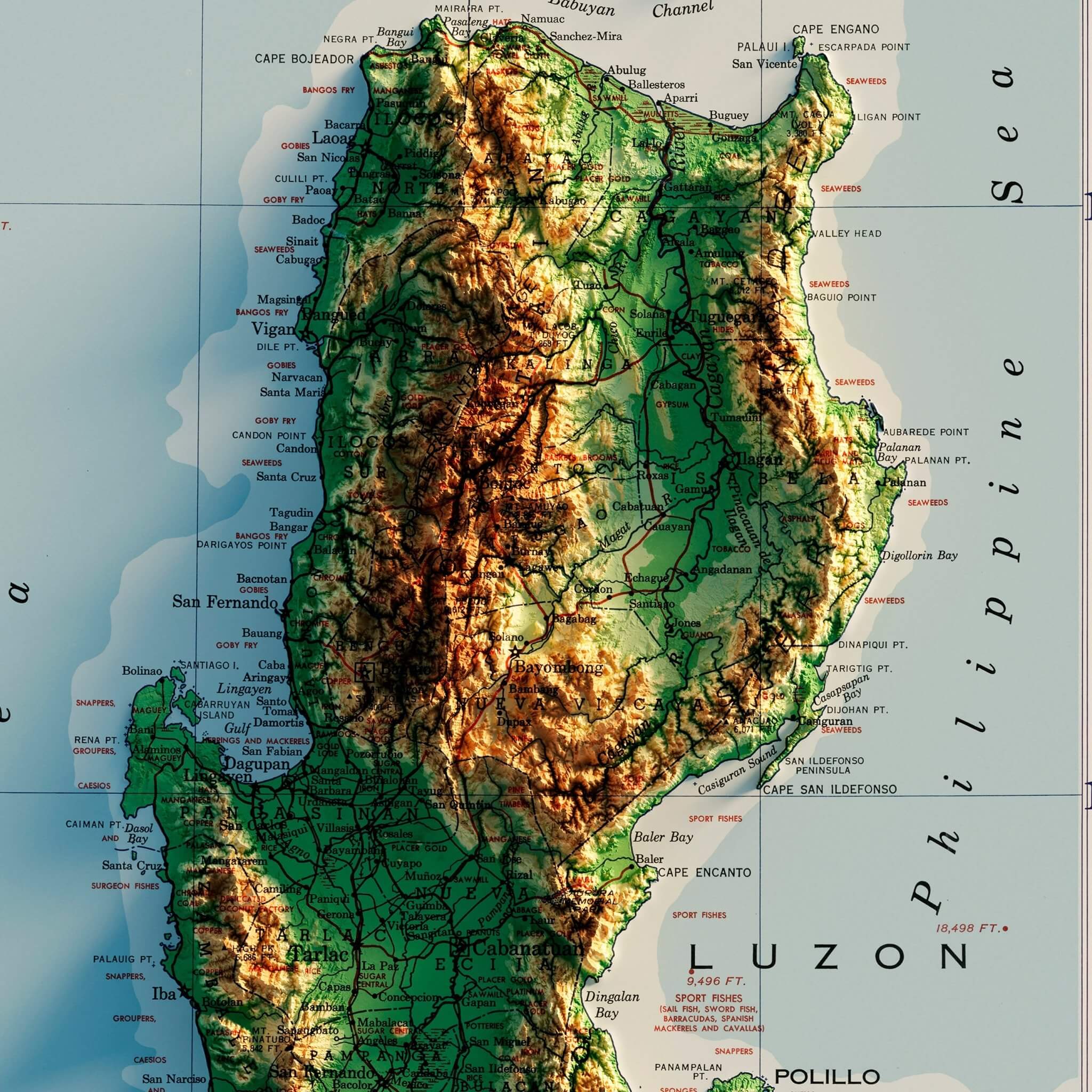 Vintage Philippines Elevation Map - Relief Map (1952) | Muir Way