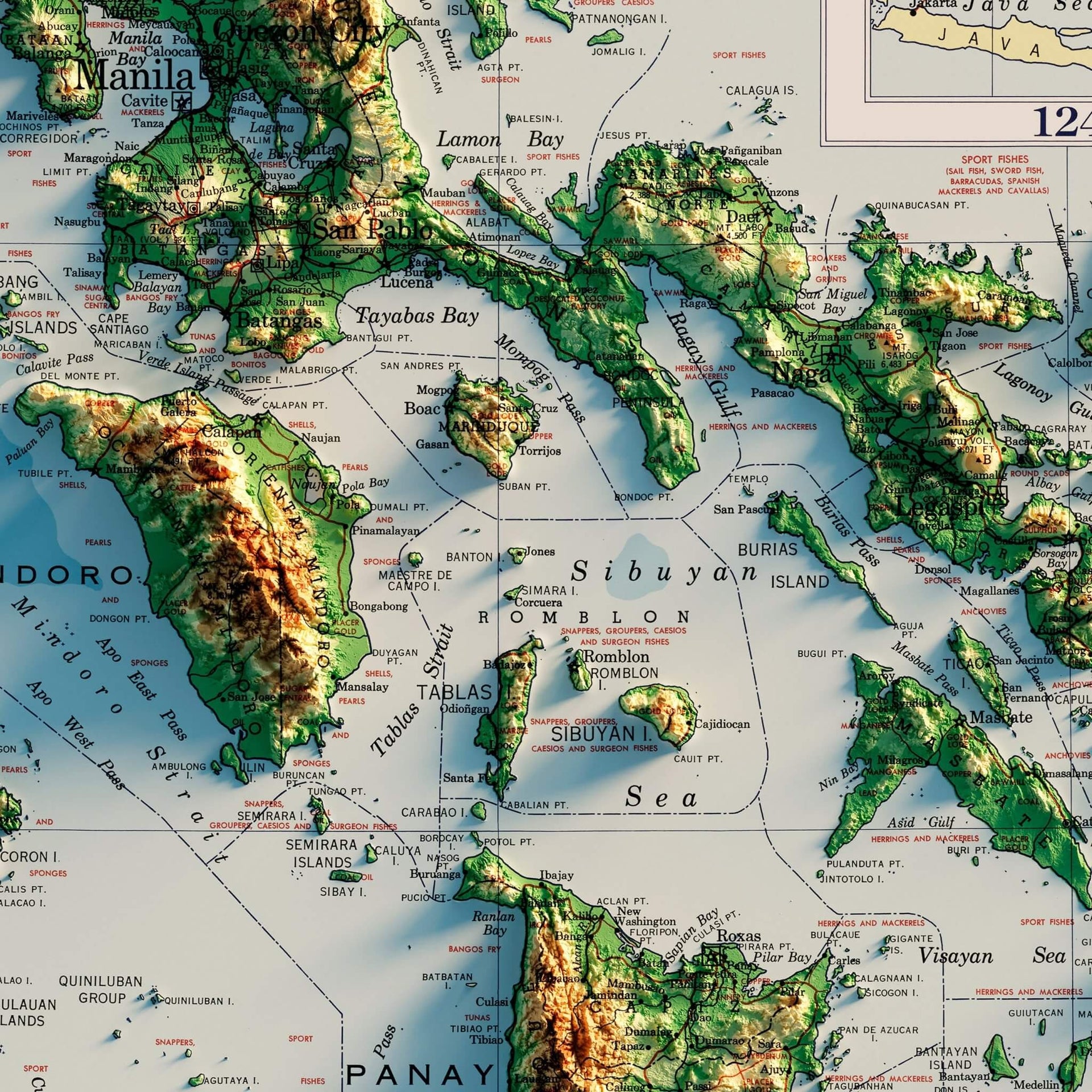 Vintage Philippines Elevation Map - Relief Map (1952) | Muir Way