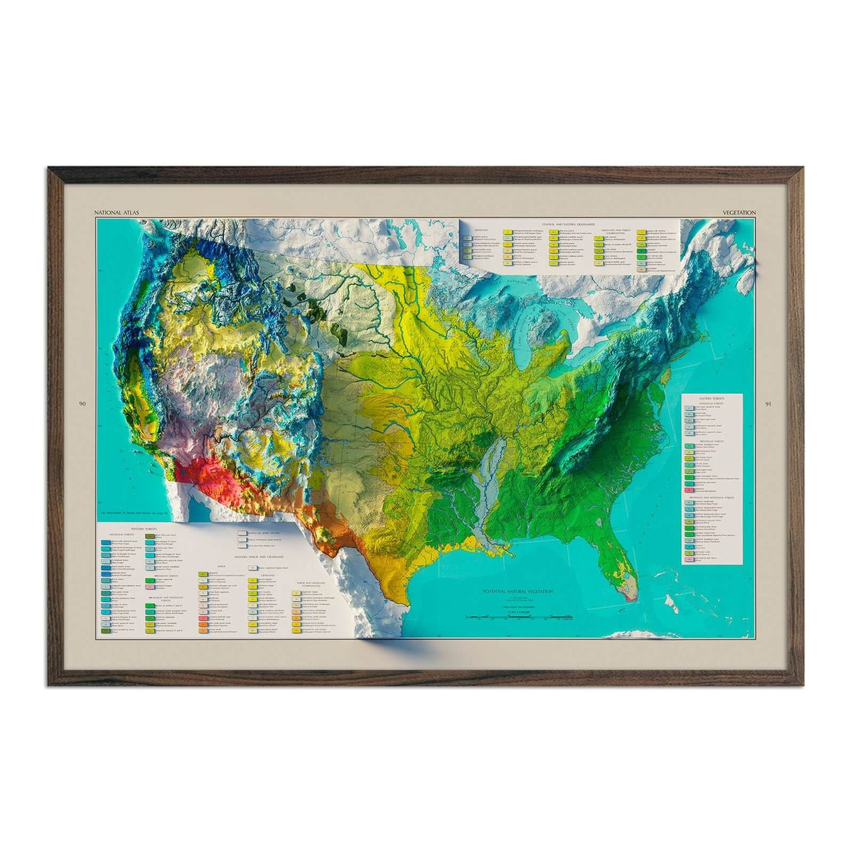 Vintage Relief Map of USA Natural Vegetation (1970) | Muir Way
