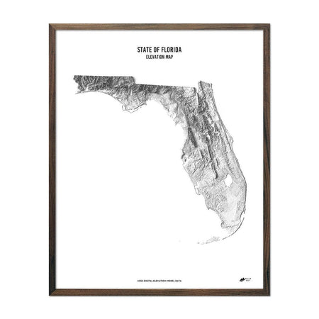 Florida Elevation Map | Museum-Quality Map Print from Muir Way