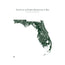 Florida Hydrology Series Map | Map of rivers, streams & more – Muir Way