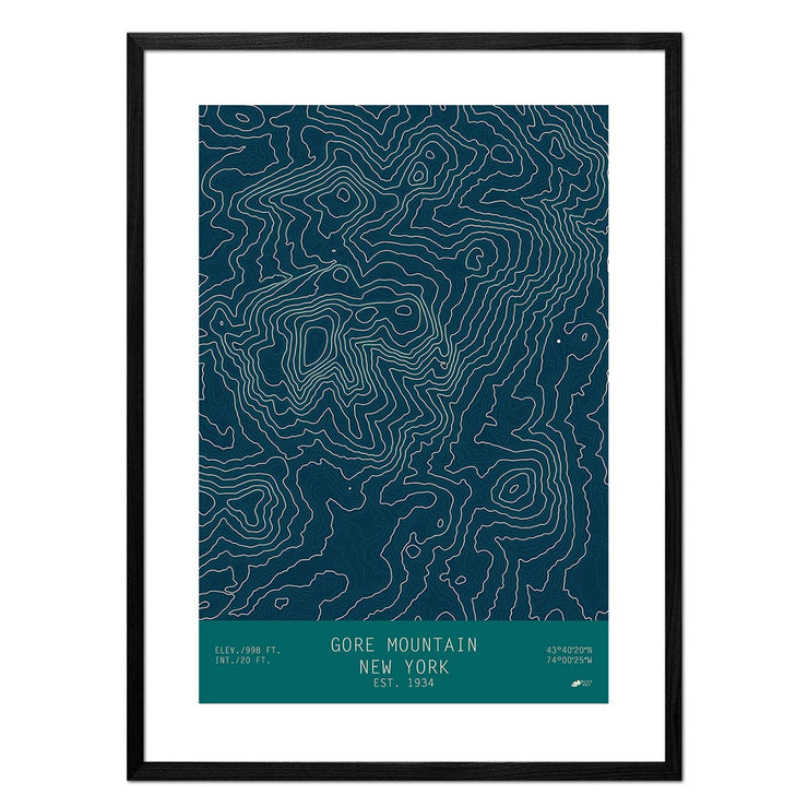 Gore, New York-TOPO Series Map – Muir Way