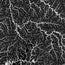 Kentucky Hydrology Series Map | Map of rivers, streams & more – Muir Way