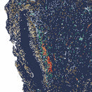 Every Mountain Summit in the USA – Muir Way